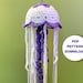 DIY Crochet Pattern Hanging Star Jellyfish - PDF Download - Etsy