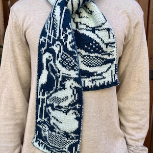 PDF Pattern - Wading Birds Double Knit Scarf - Etsy