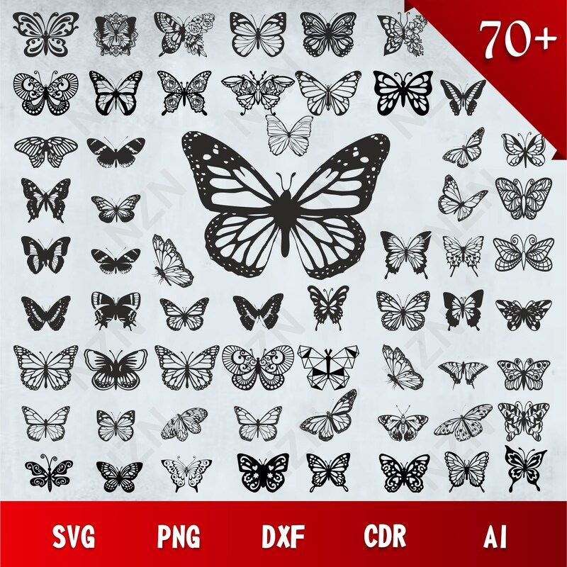 Butterfly Shape Svg - Etsy