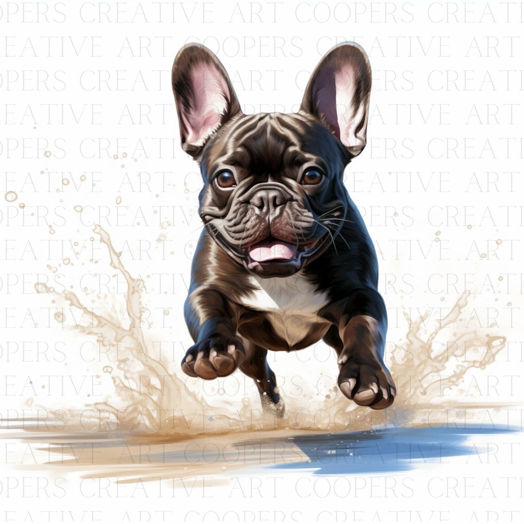 French Bulldog Clipart Dog Clipart Instant Digital Download - Etsy