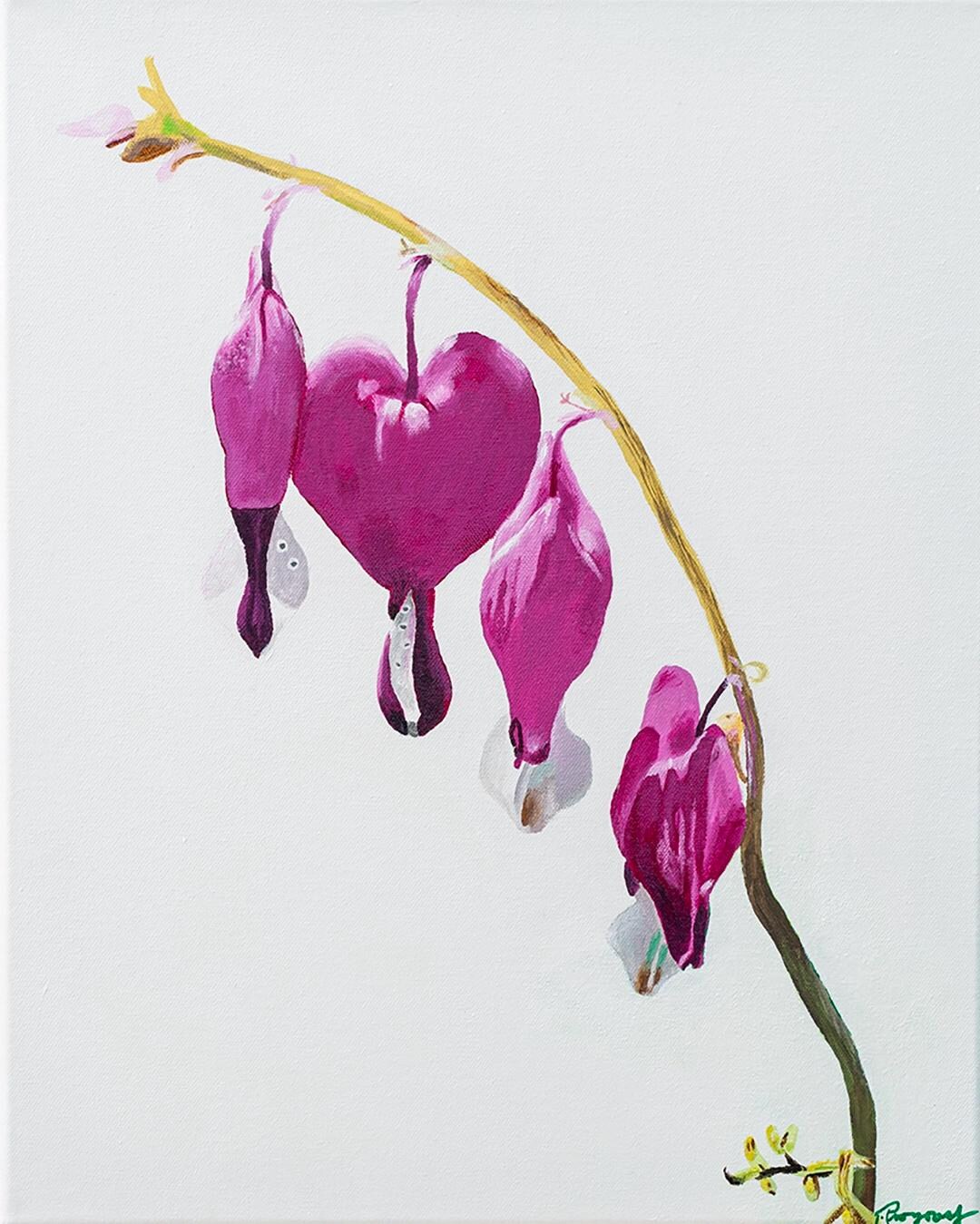 Bleeding Heart | Flowers | Garden | Spring Flowers | Perennials ...