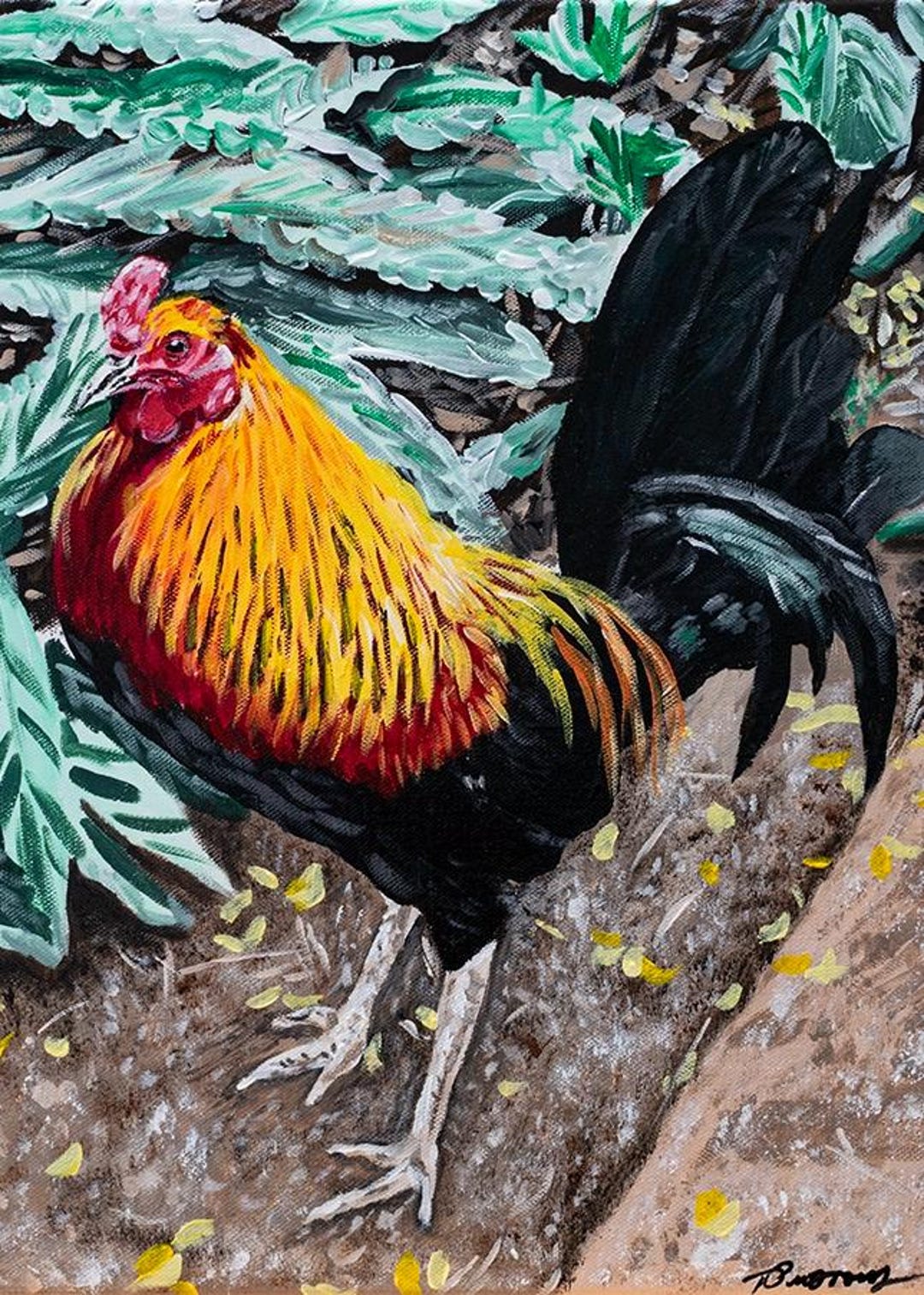 Rooster | Birds | Foul | Chicken | Animals | Wildlife | Maui | Nature ...