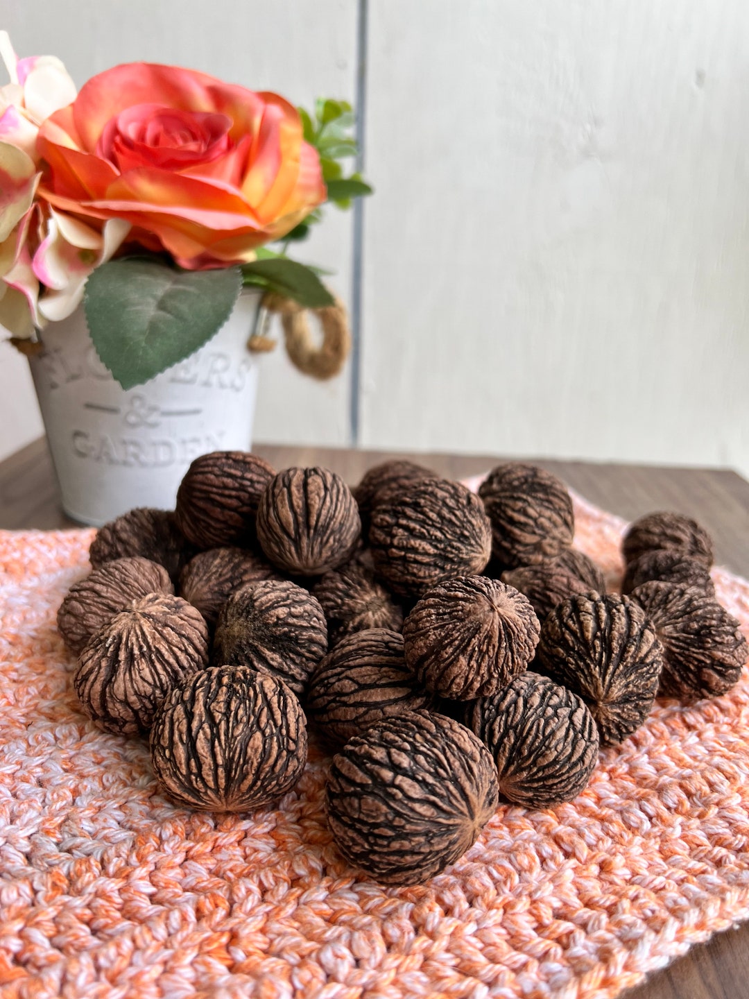 1 LB Black Walnuts in Shell - Etsy