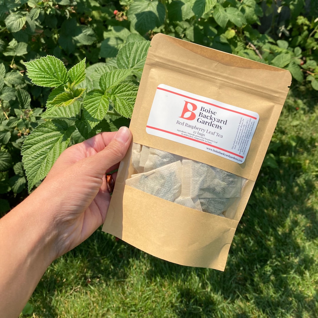 Red Raspberry Leaf Tea Bags - Etsy