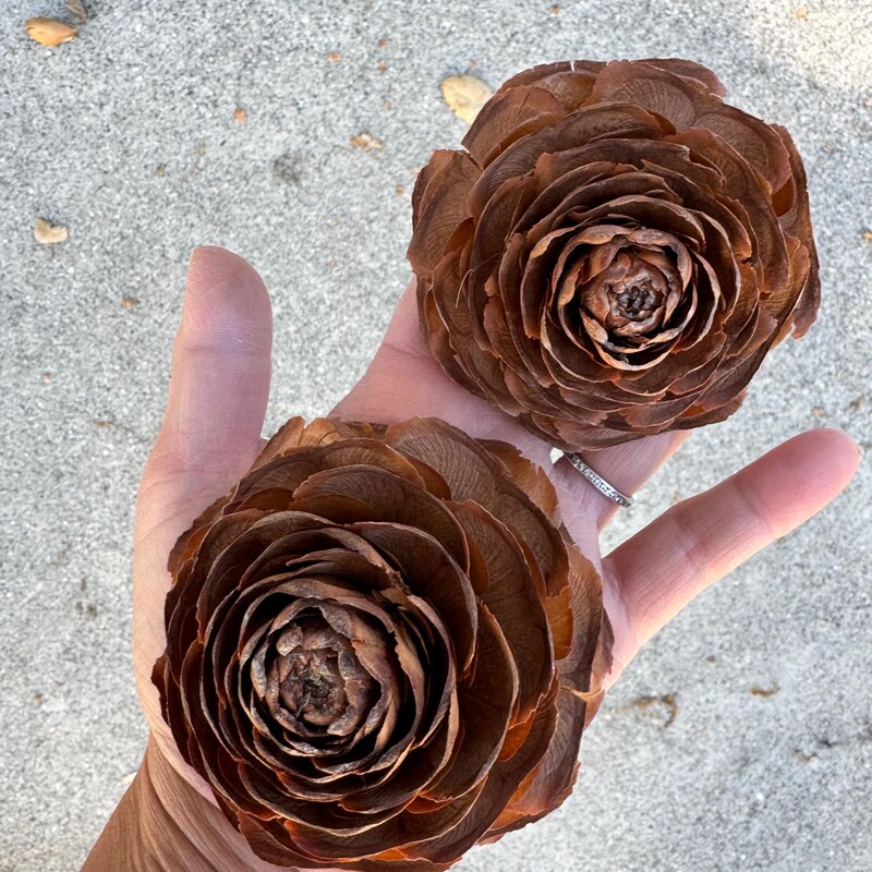 Cedar Roses - Etsy
