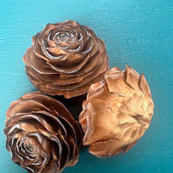 Cedar Roses - Etsy