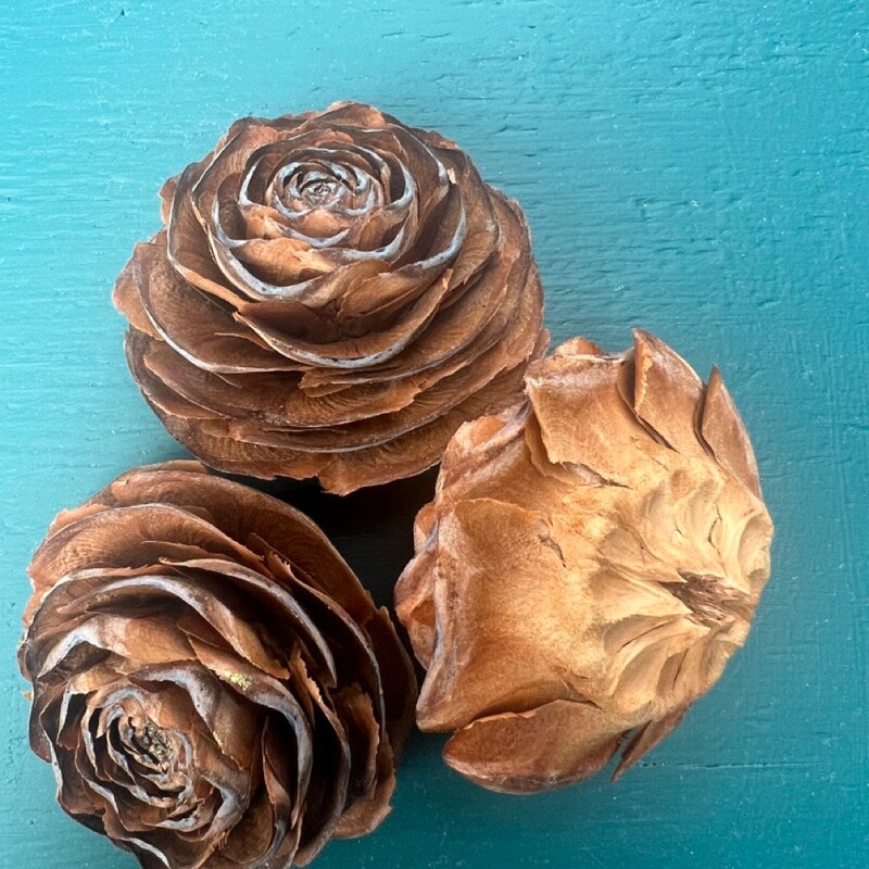 Cedar Roses - Etsy