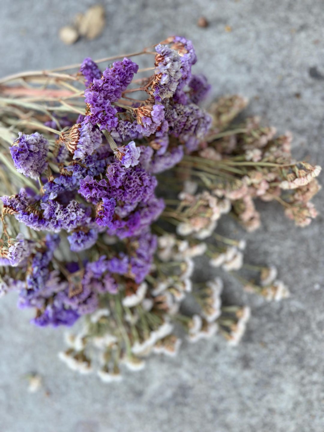 Dried Statice Bunches in Purple, Lavender, Apricot, & Cream | for ...