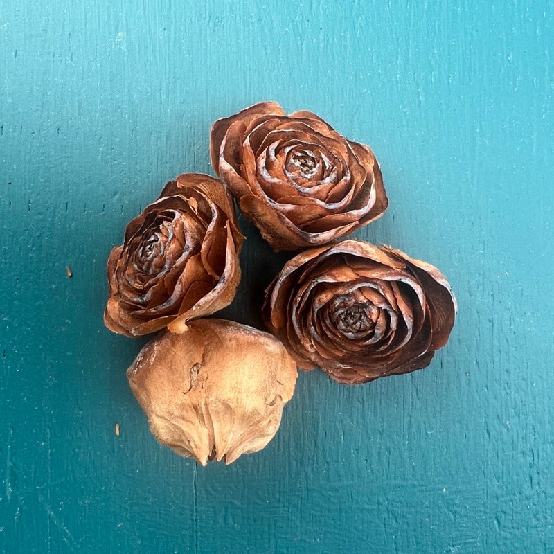 Cedar Roses - Etsy