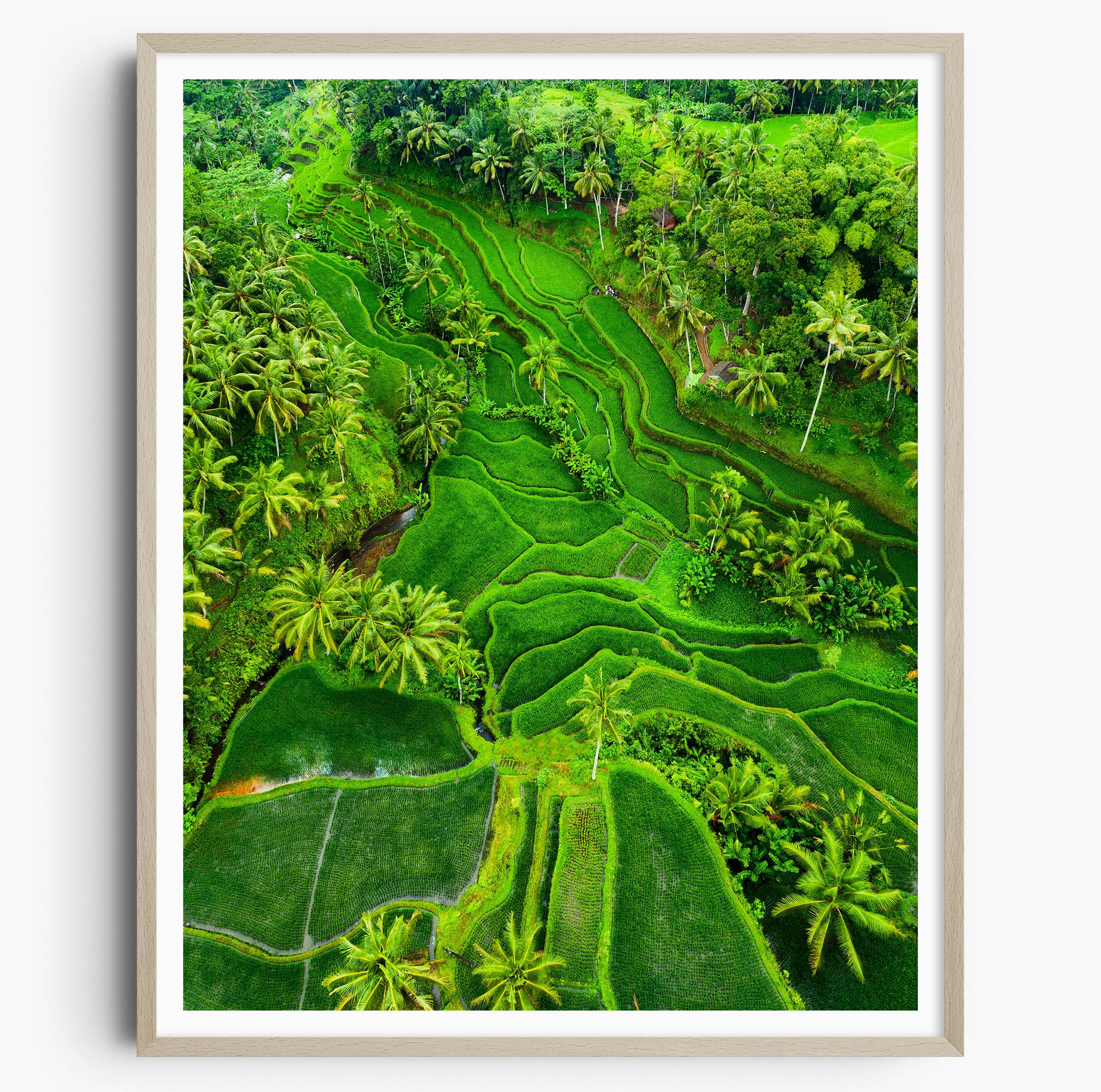 Bali Photo Print, Rice Terraces Bali Print, Wall Decor, Home Living ...