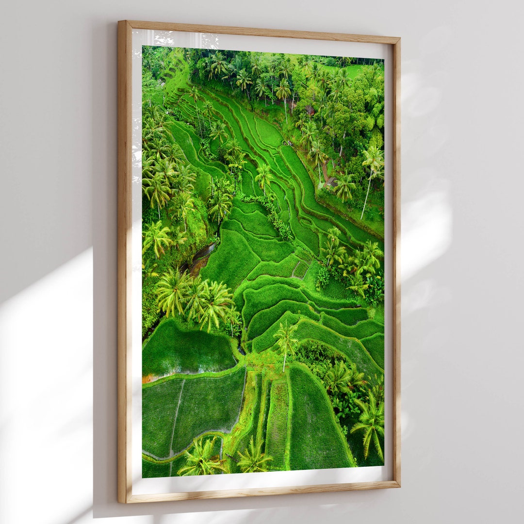 Bali Photo Print, Rice Terraces Bali Print, Wall Decor, Home Living ...