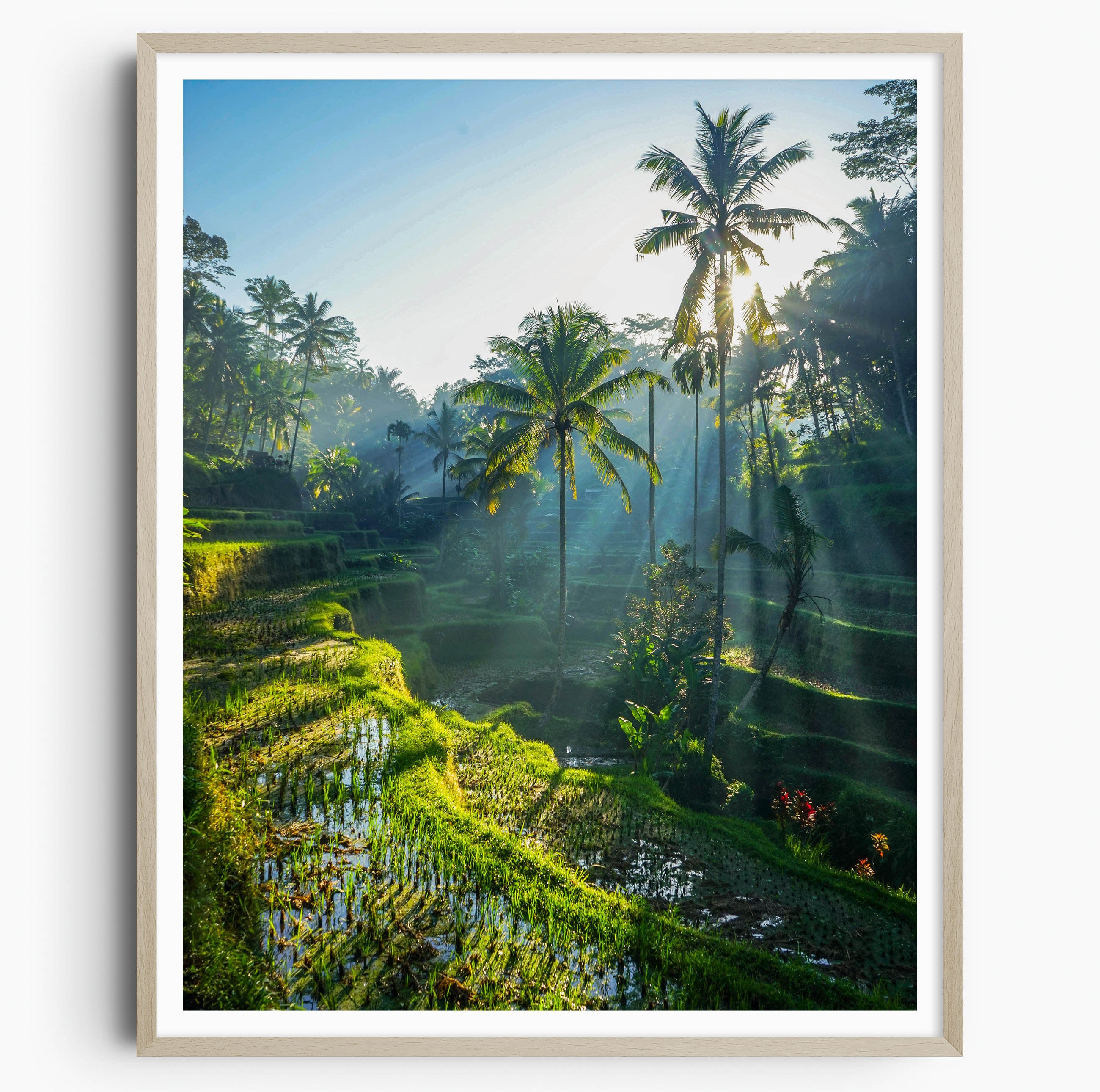 Bali Photo Print, Rice Terraces, Bali Art, Bali Home Decor, Bali Wall ...
