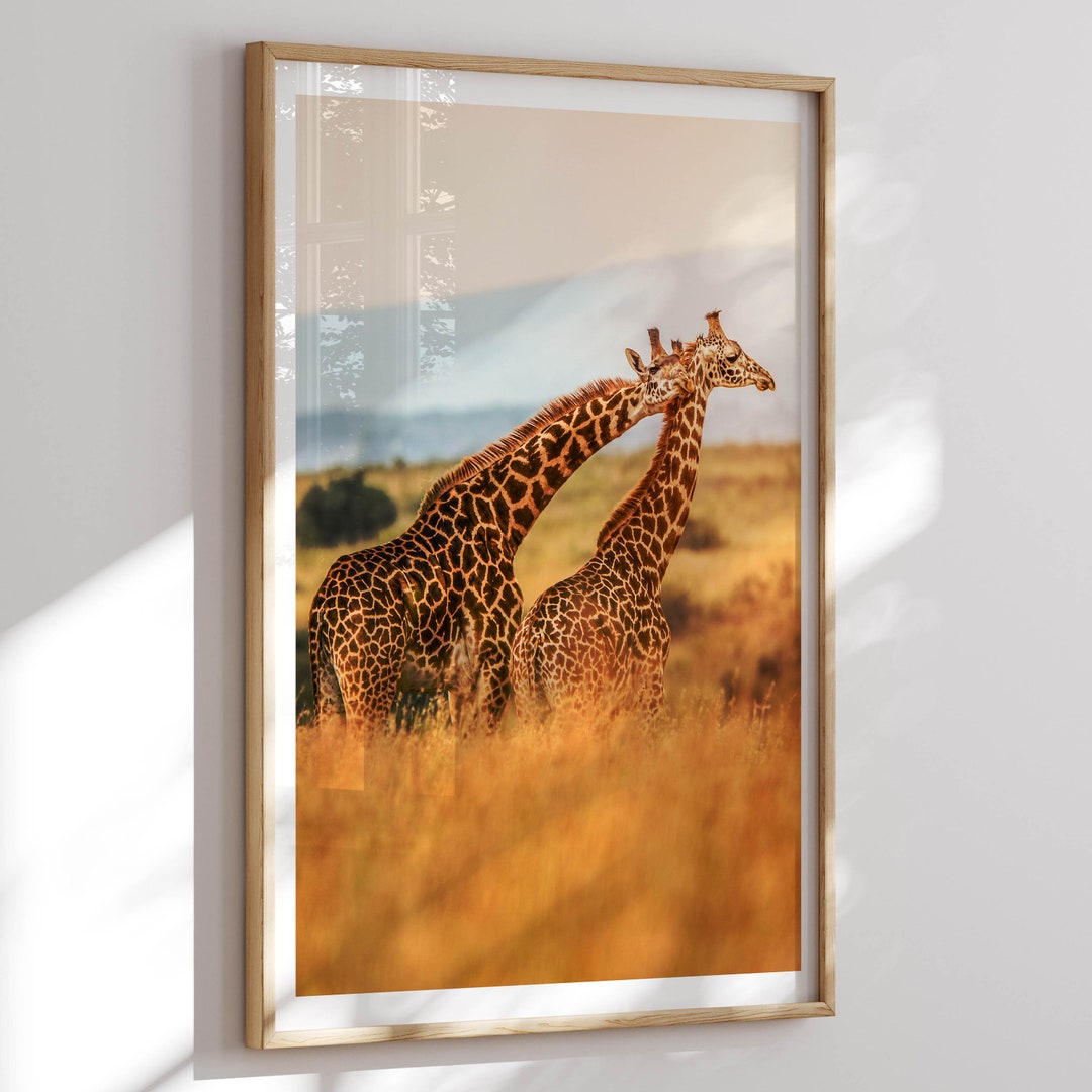 Giraffes Photo Print, Professional Photo Print, Giraffes Artwork ...