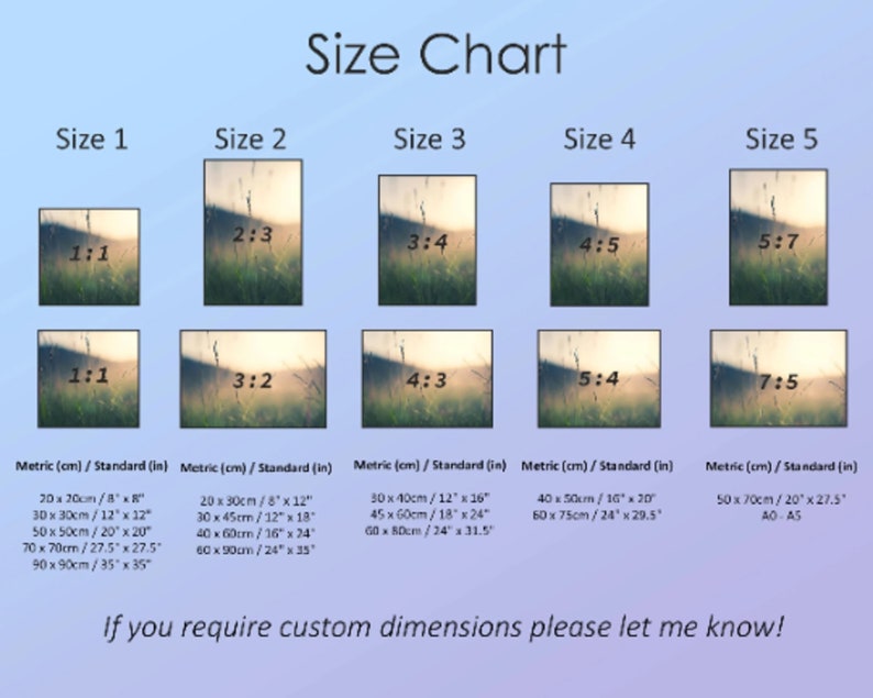 North American Black Bear Cub Photography, Natural British Columbia ...