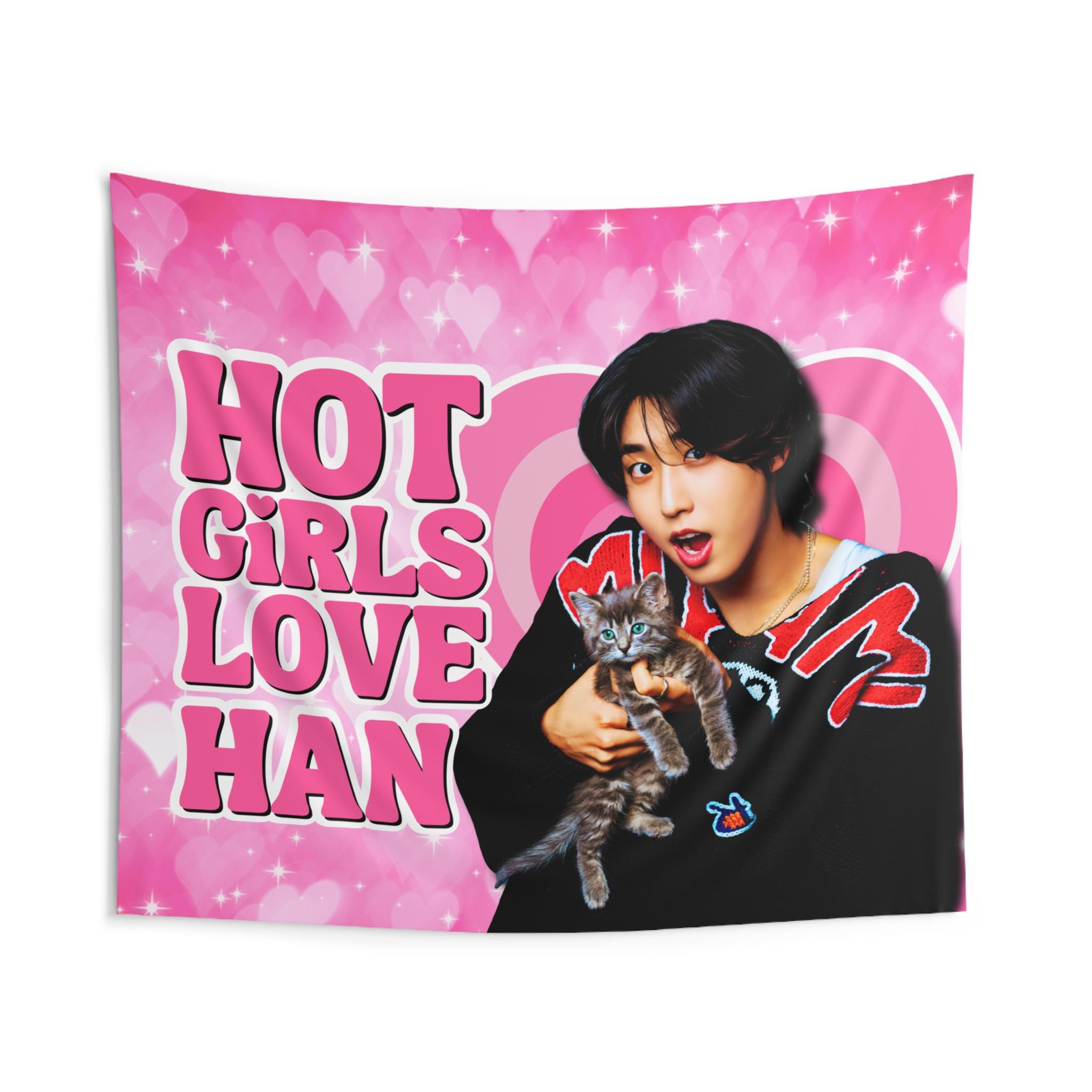 SKZ Han Jisung Hot Girls Concert Banner, Stray Kids Members Kpop Flag ...