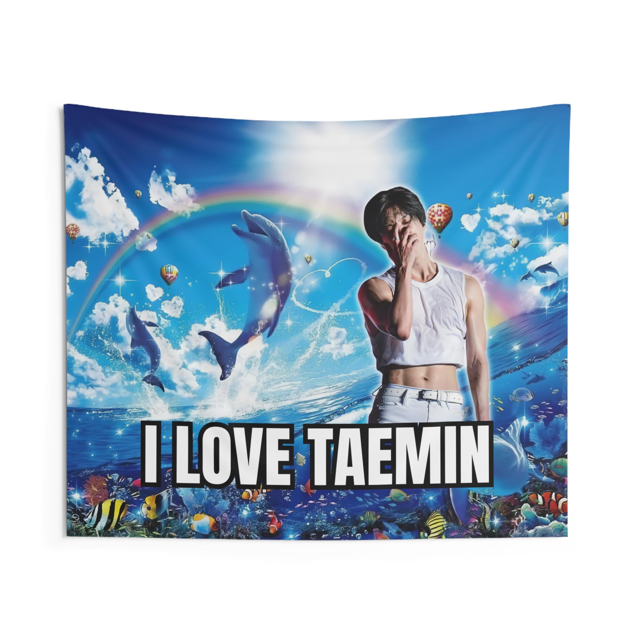 Shinee Taemin Dolphin Meme Concert Banner, Taemin Tour Kpop Flag ...