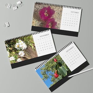 Floral Desktop Calendar 2025, Nature Inspired Calendar for Home Office ...