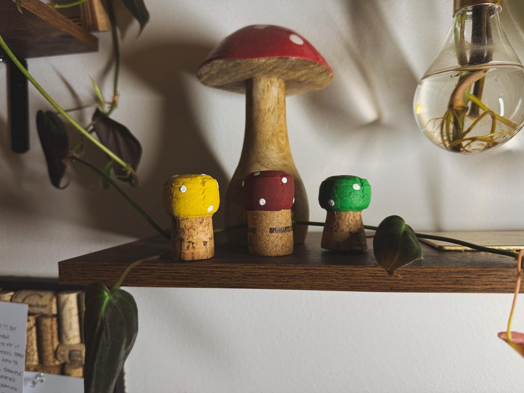 Champagne Cork Mushroom 3 Pack - Etsy
