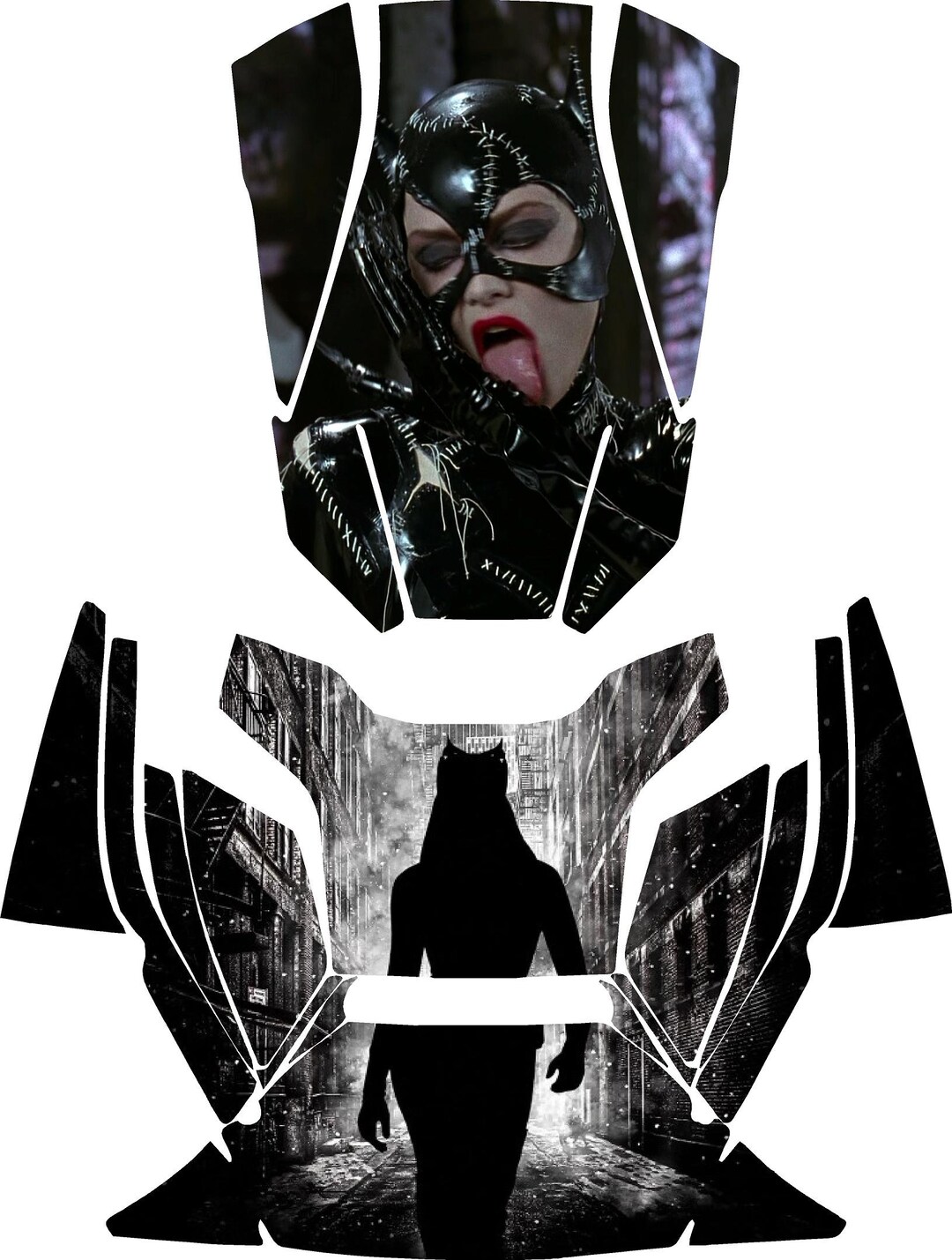 Laminated Canam Ryker Rally Cat Woman 001 Combo Marvel Comics - Etsy