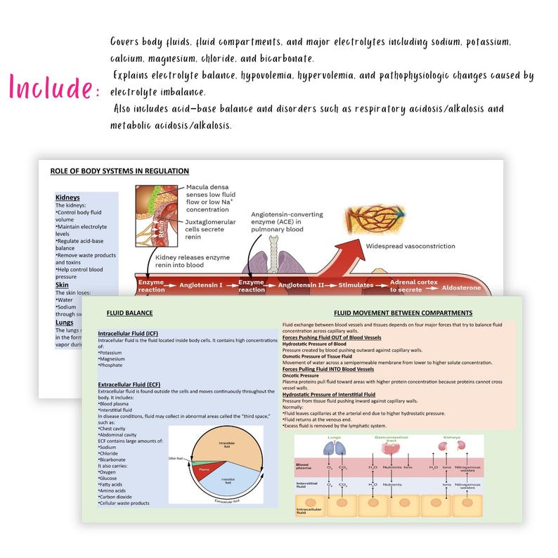 Pathophysiology Nursing Study Guide | Part 1 & 2 | Body Systems ...