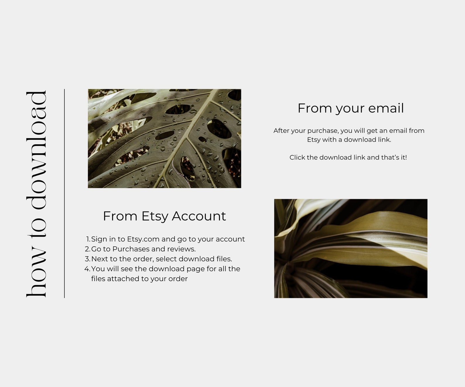 Comfort Colors C1717 Ivory Mockup Oversized Model Mockup Comfort Colors ...