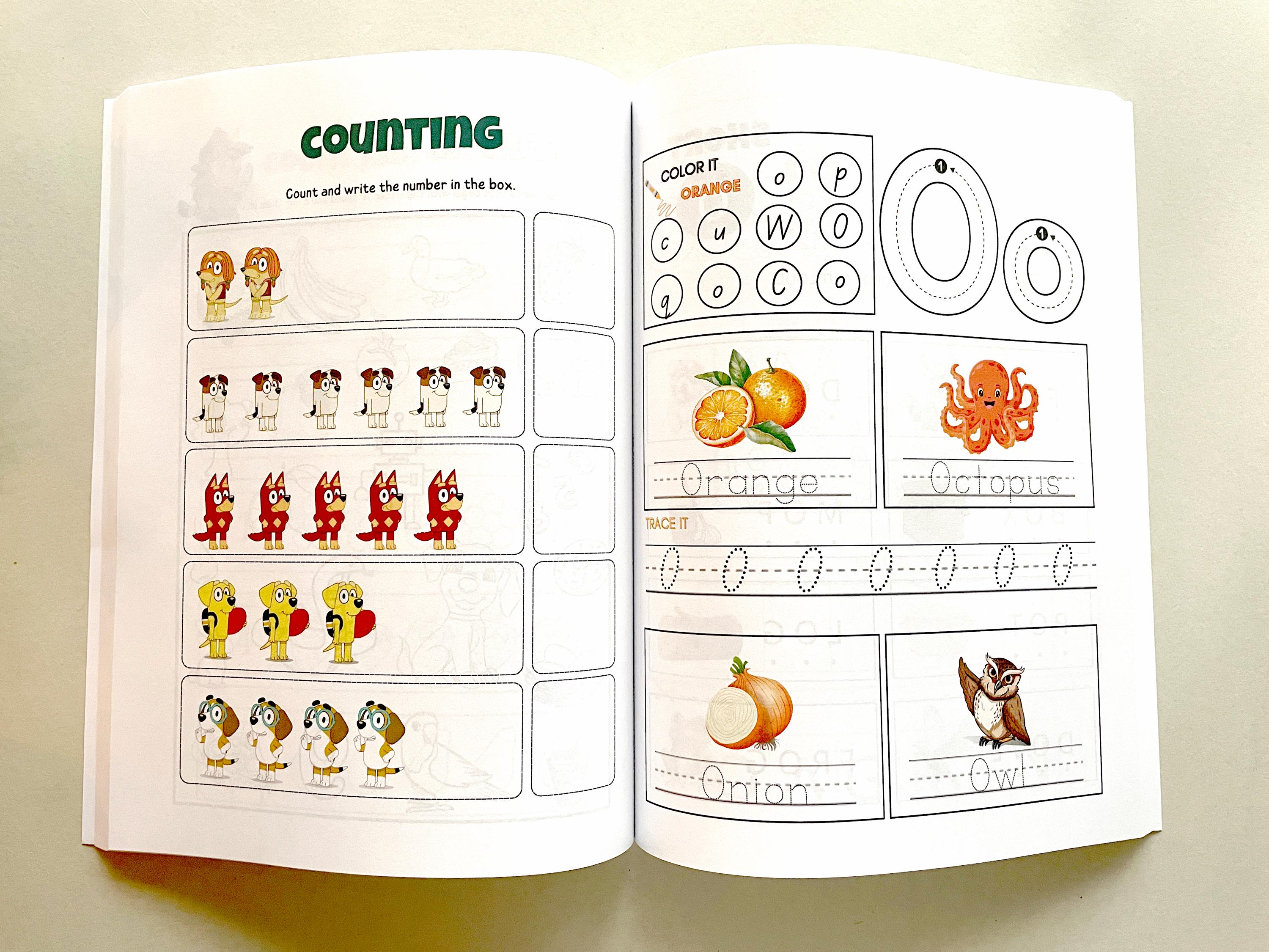 Preschool Workbook: Kindergarten Readiness, Early Learning (printed) - Etsy