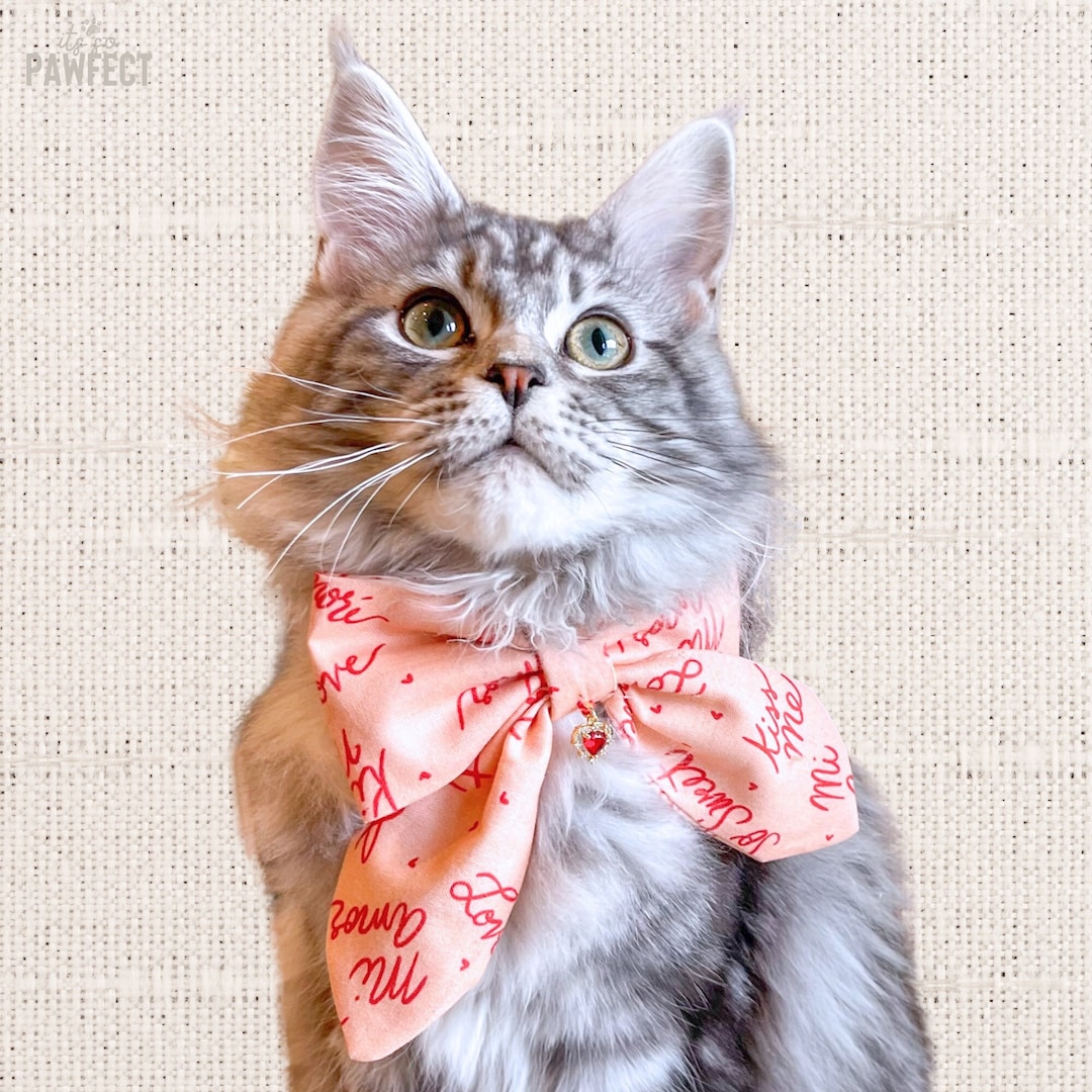 Valentines Bow for Cats and Dogs, Dog Bow, Cat Bow - Etsy