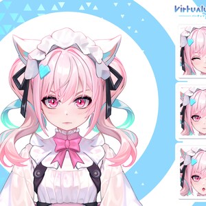 Live2d Vtuber Model/commercial Use! Nekomi Vtuber (ready to Use ...