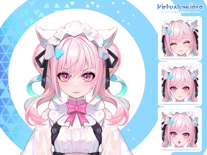Live2d Vtuber Model/commercial Use! Nekomi Vtuber (ready to Use ...