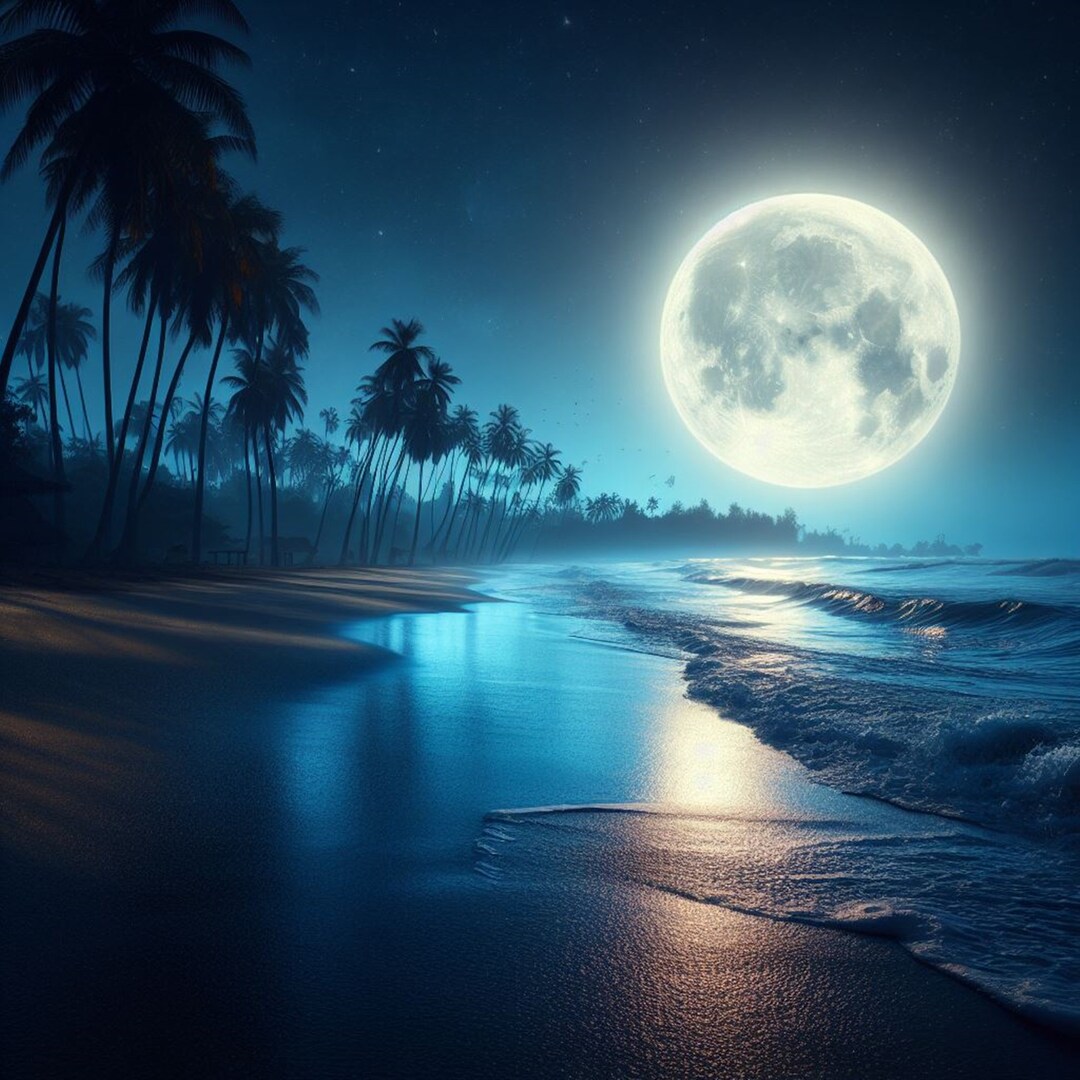 Print No. 4-047, Moonlight on the Beach, Full Moon Night Sky Tropical ...