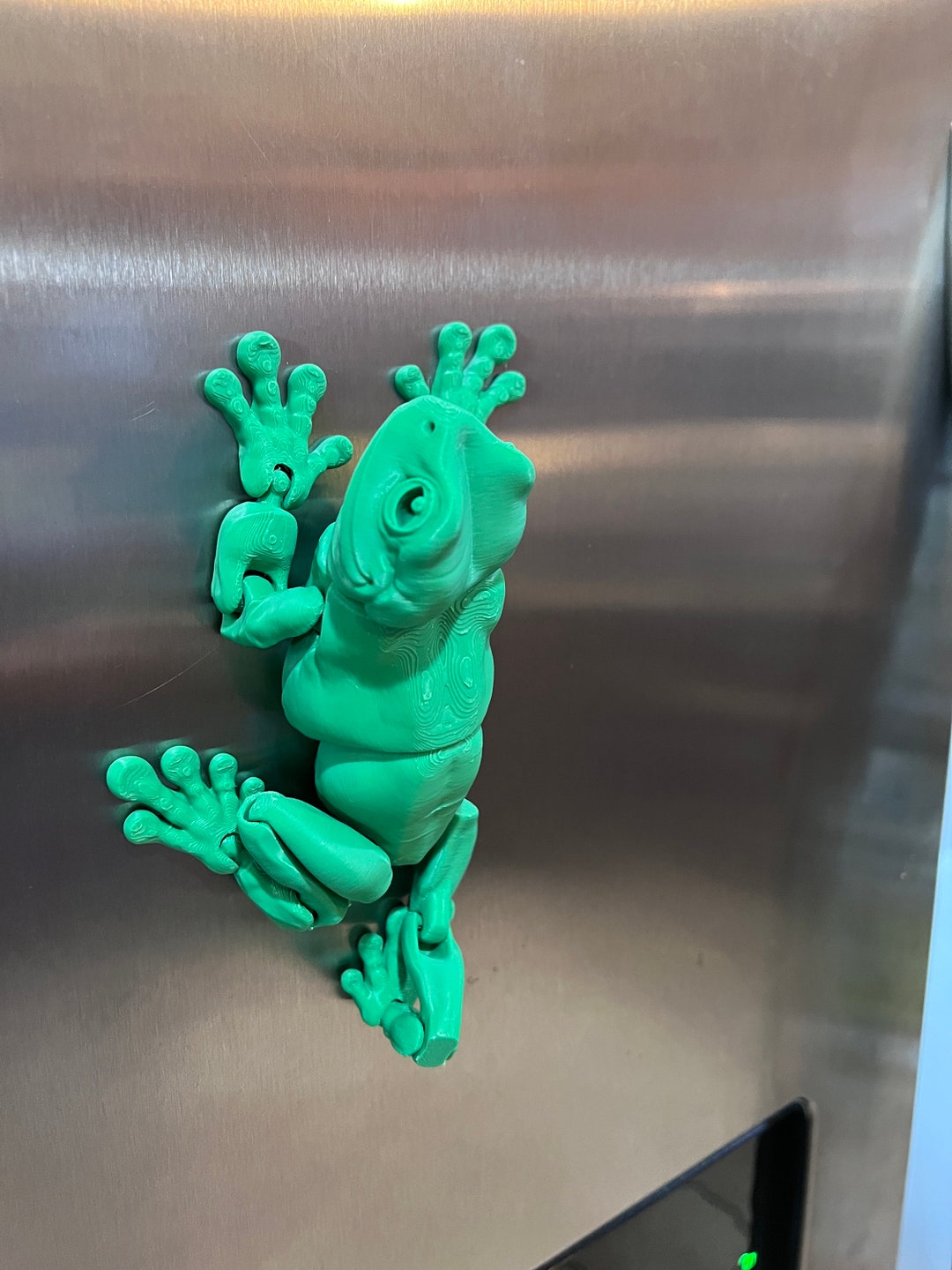 3D Printed White Tree Frog - Etsy