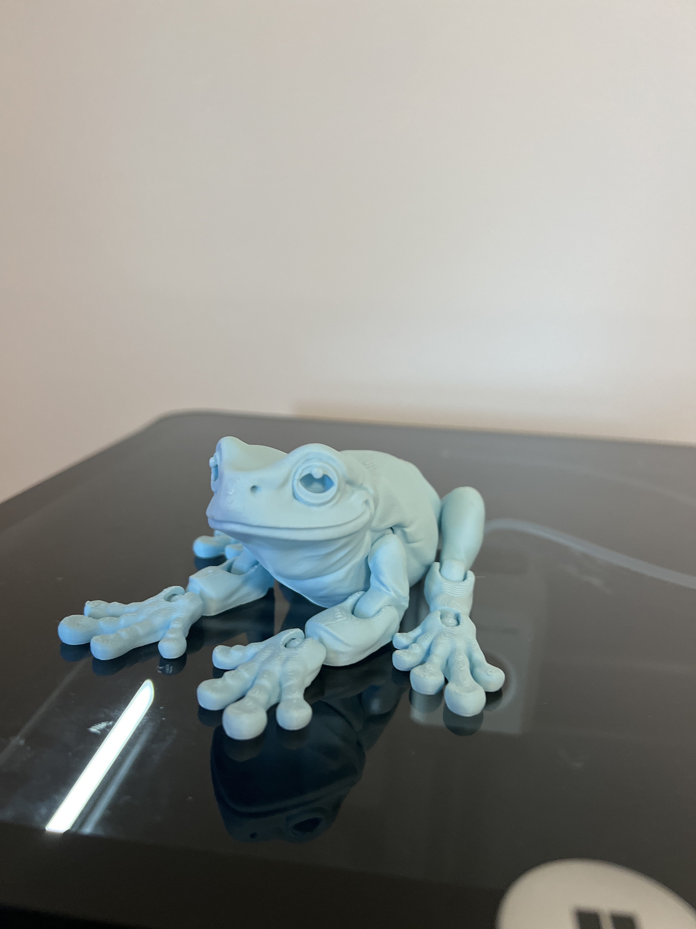 3D Printed White Tree Frog - Etsy