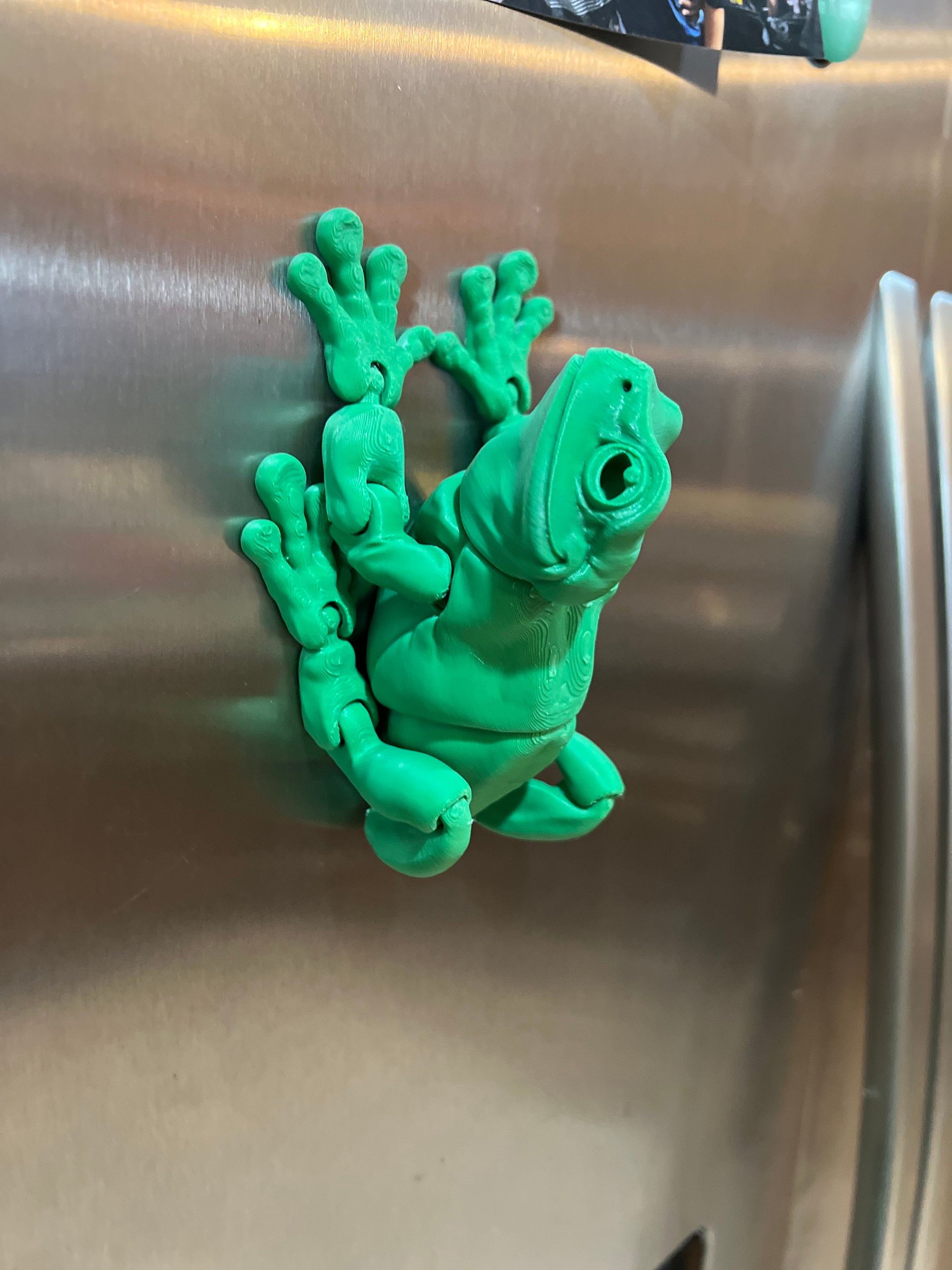 3D Printed White Tree Frog - Etsy