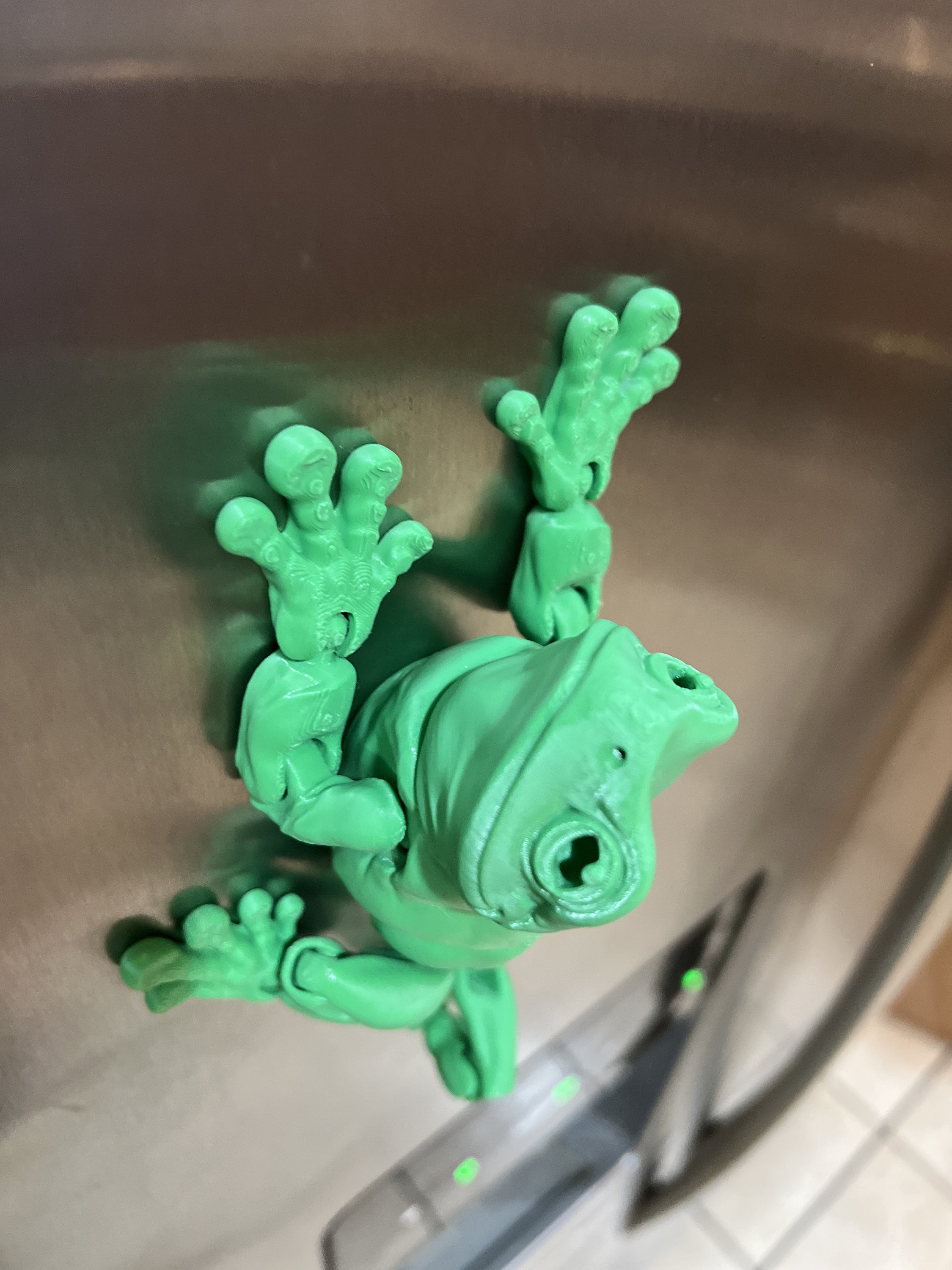 3D Printed White Tree Frog - Etsy
