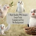 Dove Clipart Bundle, Cartoon Images, Bible Images, Instant Download - Etsy