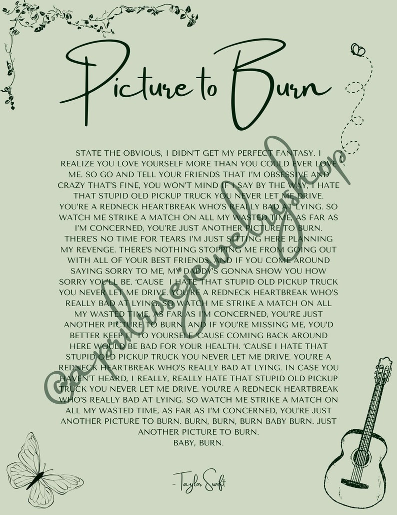 Picture to Burn Taylor Swift Lyric Art Debut Album Digital Download - Etsy