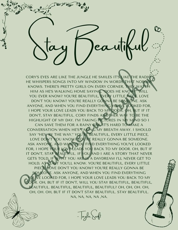 Taylor Swift Stay Stay Stay Album Cover