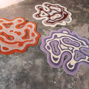 Irregular Amoeba Shaped Rug the Valley Rug Hand-tufted 100% Fine Wool ...