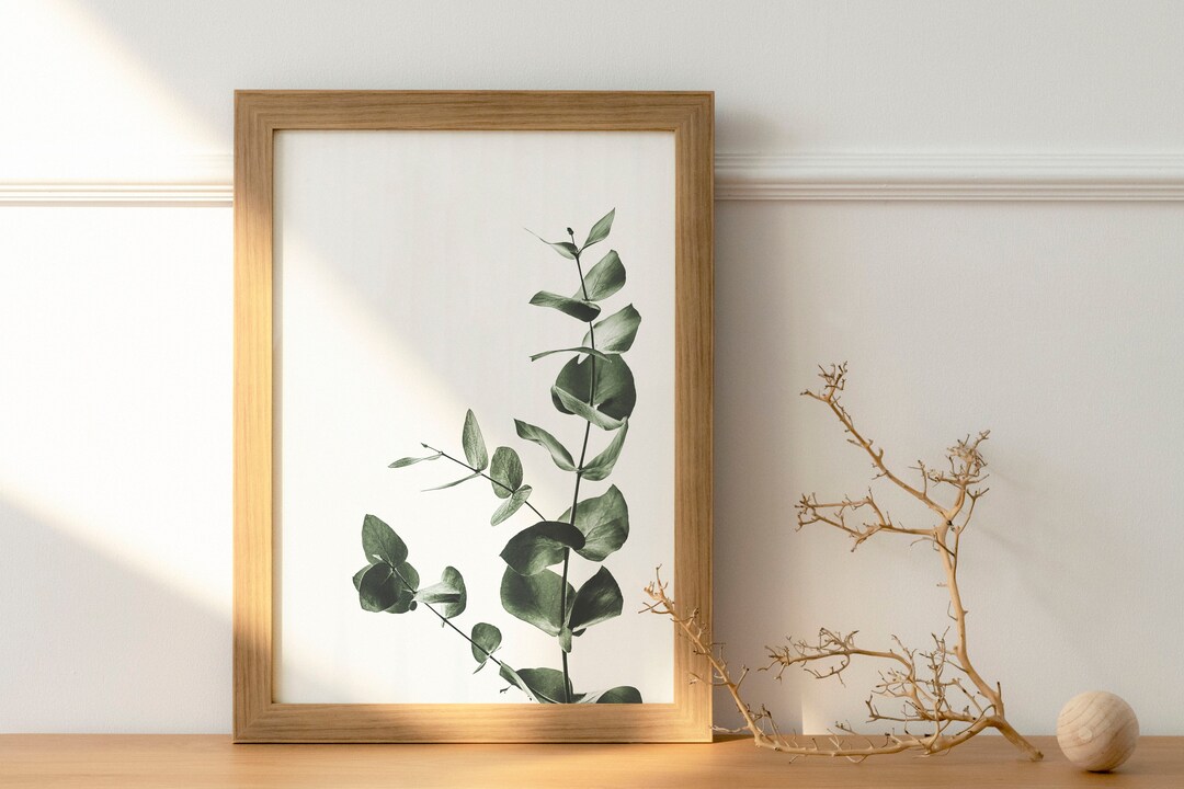 Eucalyptus Leaves Wall Art, Eucalyptus Poster, Eucalyptus Print ...