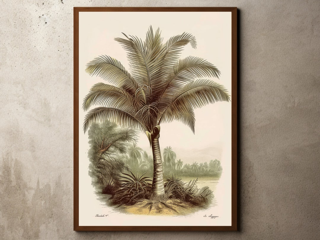 Vintage Palm Tree Drawing, Rustic Antique Farmhouse Print, Botanical ...