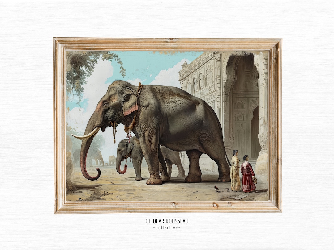 Vintage Antique Colonial Drawing, Jungle Elephant Print Wall Art ...