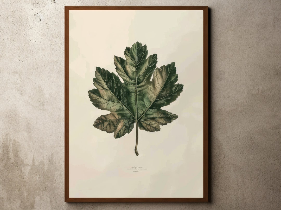 Vintage Maple Leaf Drawing, Warm Neutral Soft Decor, Floral Wall Art ...