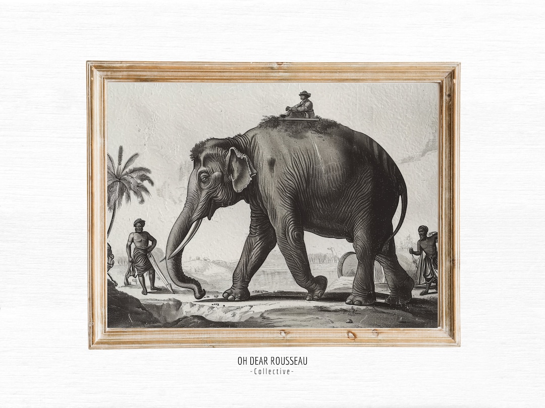 Vintage Antique Colonial Drawing, Jungle Elephant Wall Art, Heritage ...