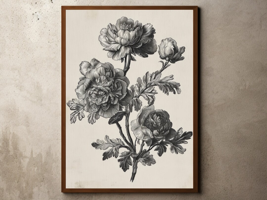 Vintage Antique Flower Drawing, Botanical, Floral Wall Art, Flowers ...