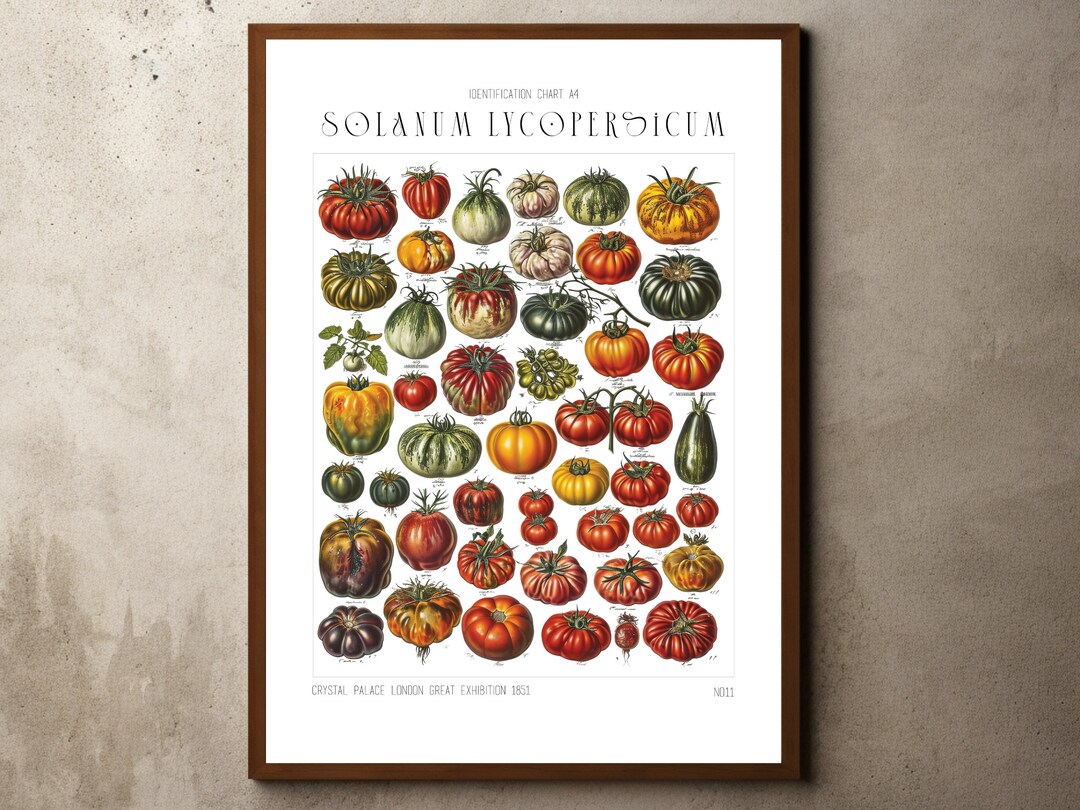 Botanical Identification Print, Botanical Wall Art, Plant Decor Floral ...