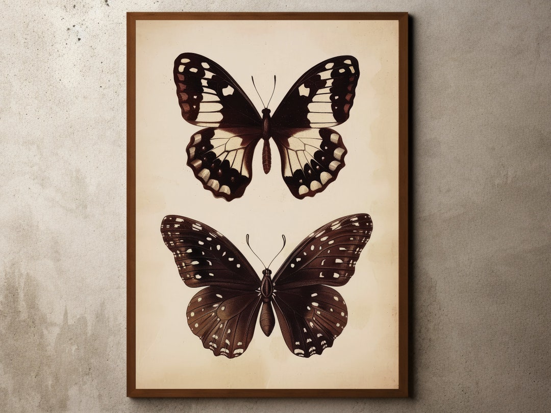 Vintage Butterfly Drawing, Rustic Antique Farmhouse Print, Butterflies ...