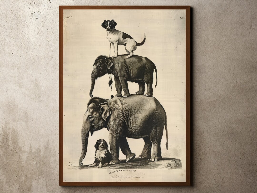Vintage Antique Colonial Drawing, Vintage Illustration Wall Art, Jungle ...