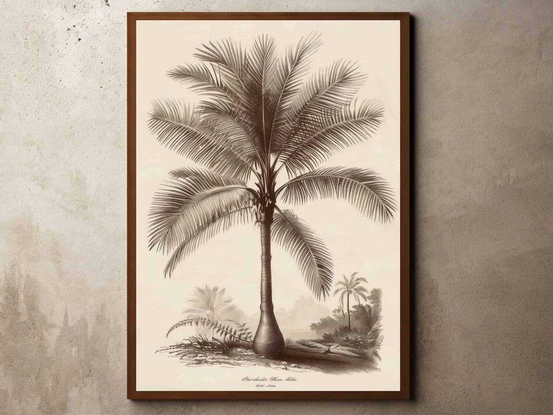 Vintage Palm Tree Drawing, Rustic Antique Farmhouse Print, Botanical ...