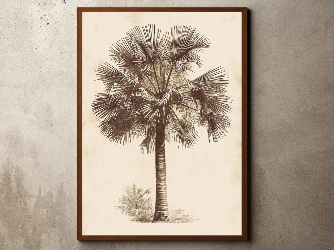 Vintage Palm Tree Drawing, Rustic Antique Farmhouse Print, Flowers ...