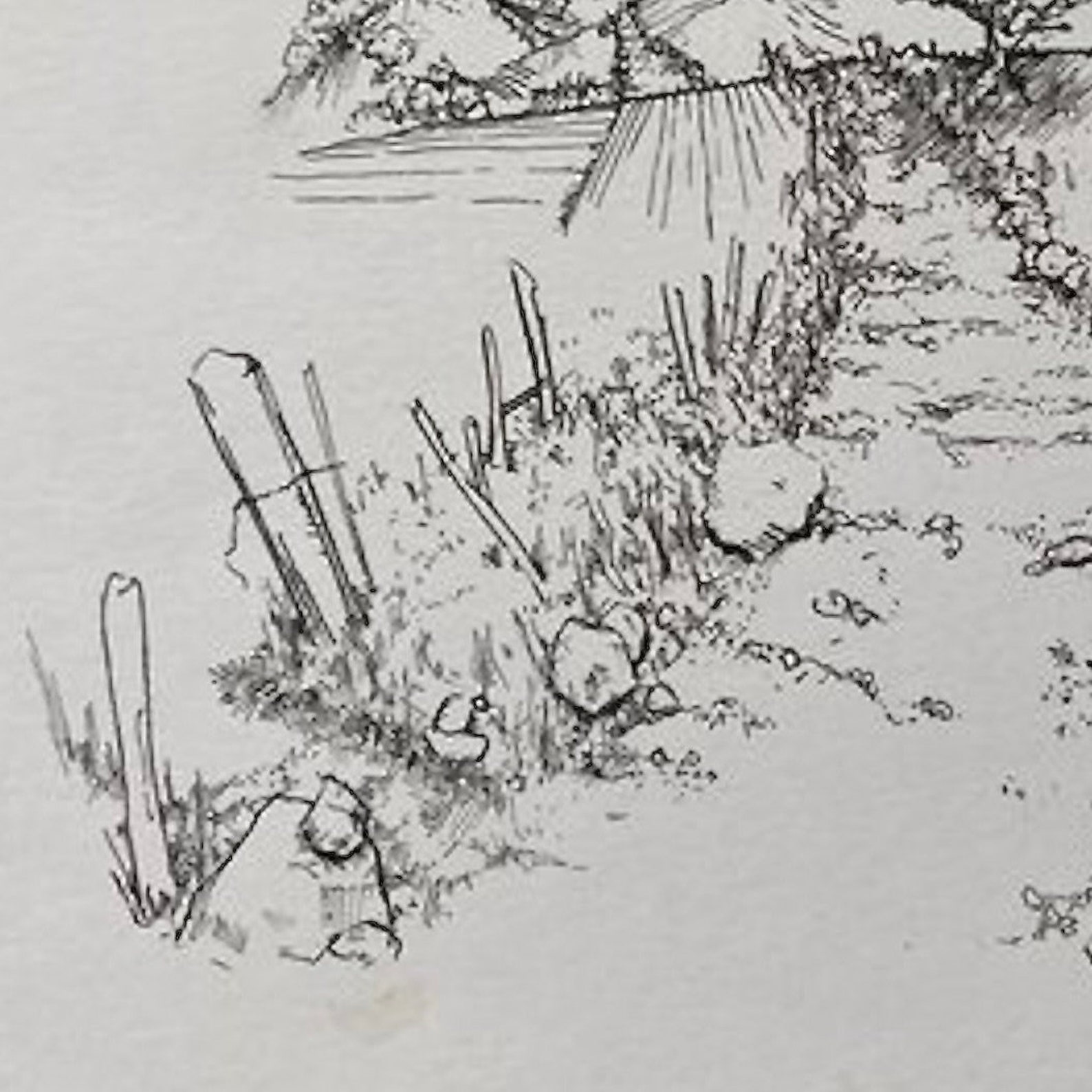 Pen Drawing of the Road Less Travelled, a Country Footpath in a Natural ...